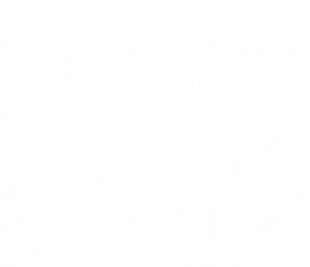 SIVI's Value Chain - ClusterSivi